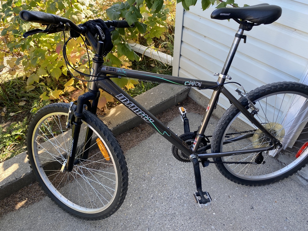 Infinity Cycle Works Canyon