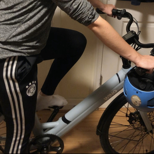 Stolen 2022 Wing Freedom ST