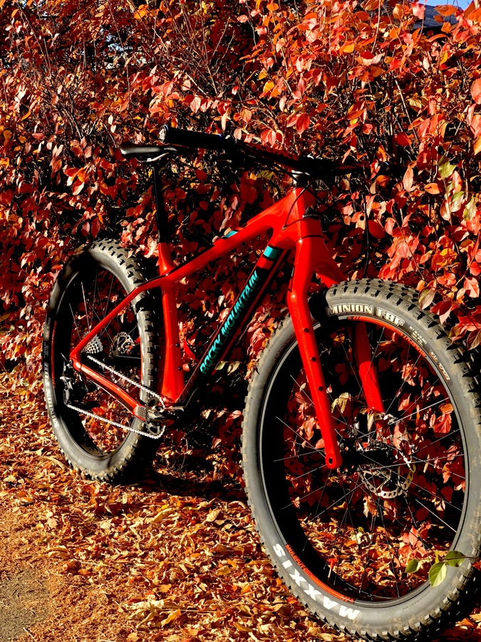 2019 Rocky Mountain Bicycles Suzi Q