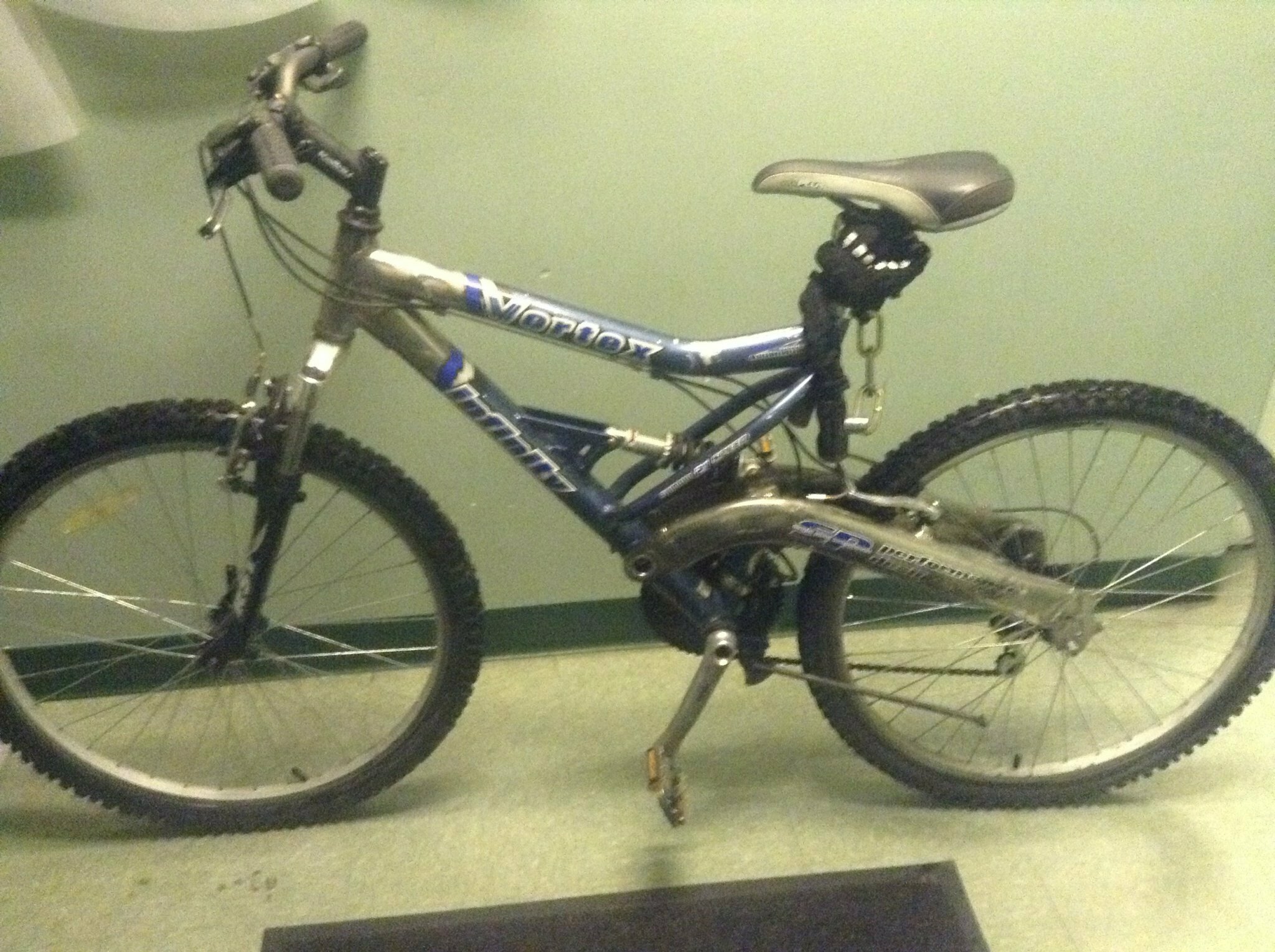 Stolen Infinity Cycle Works