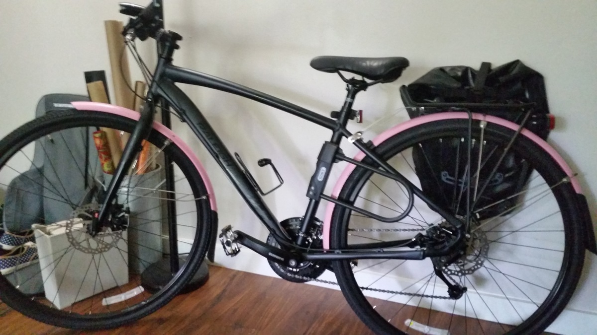 Stolen 2015 Raleigh Misceo 2.0
