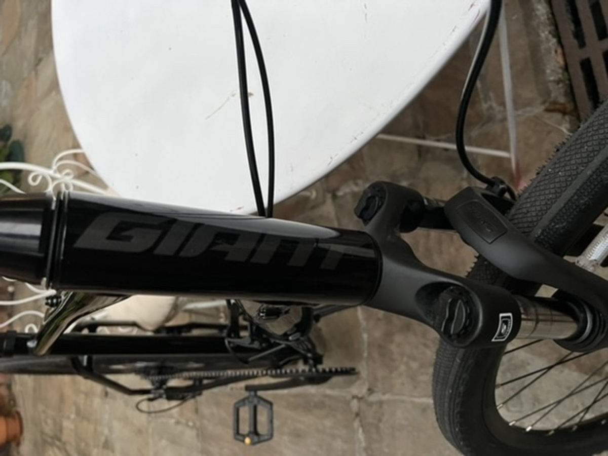 2022 Giant Cypress 2