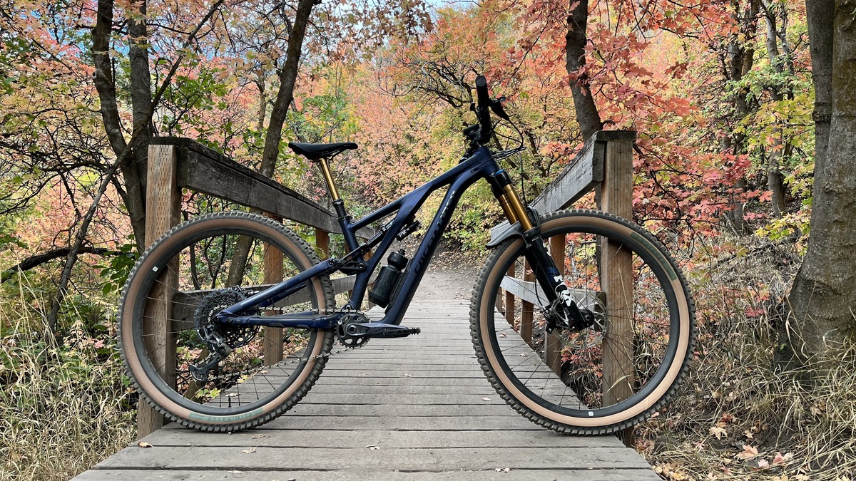 Stolen 2022 Specialized Stumpjumper EVO Alloy LTD