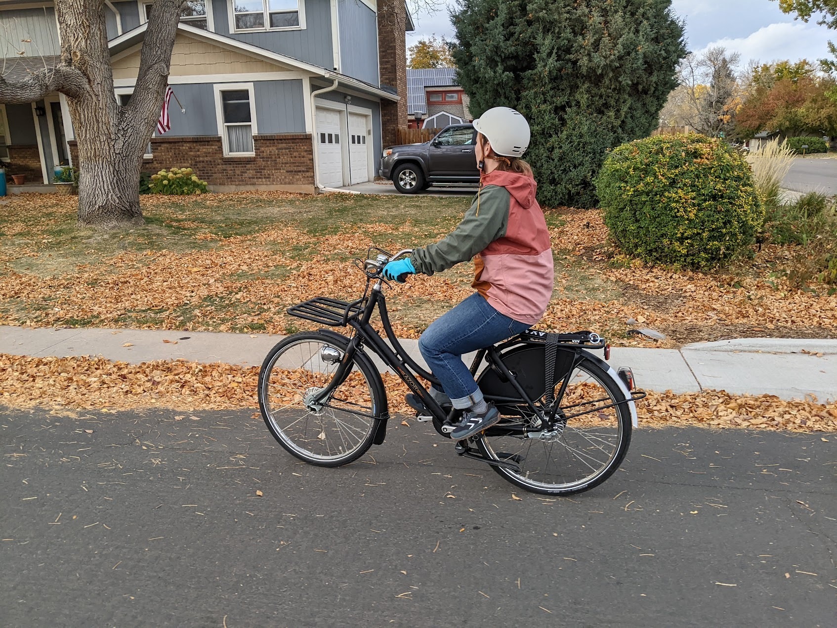 2022 Azor Aluminum Omafiets