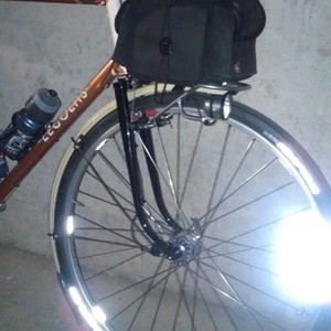 2011 Rivendell Bicycle Works Legolas