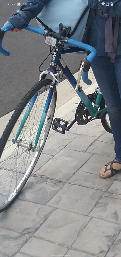 Stolen 2022 Dasani Vintage Dasani Water 10 speed