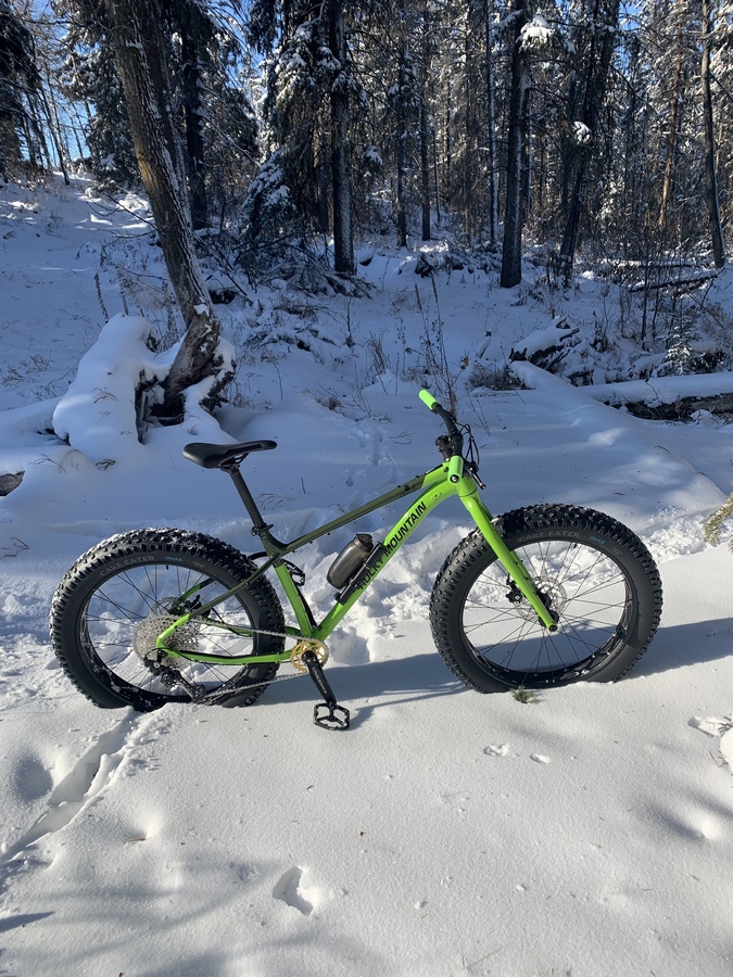 2020 Rocky Mountain Bicycles Blizzard Large