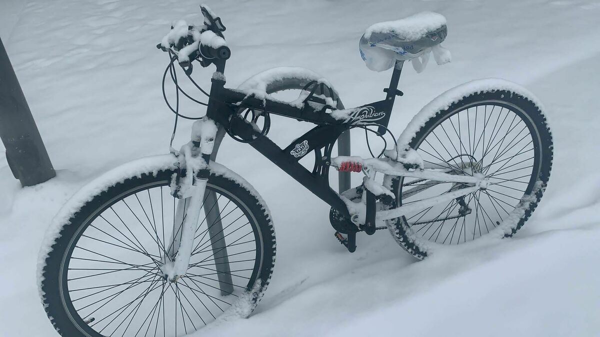 Unknown it has a yeti sticker Black with red shocks