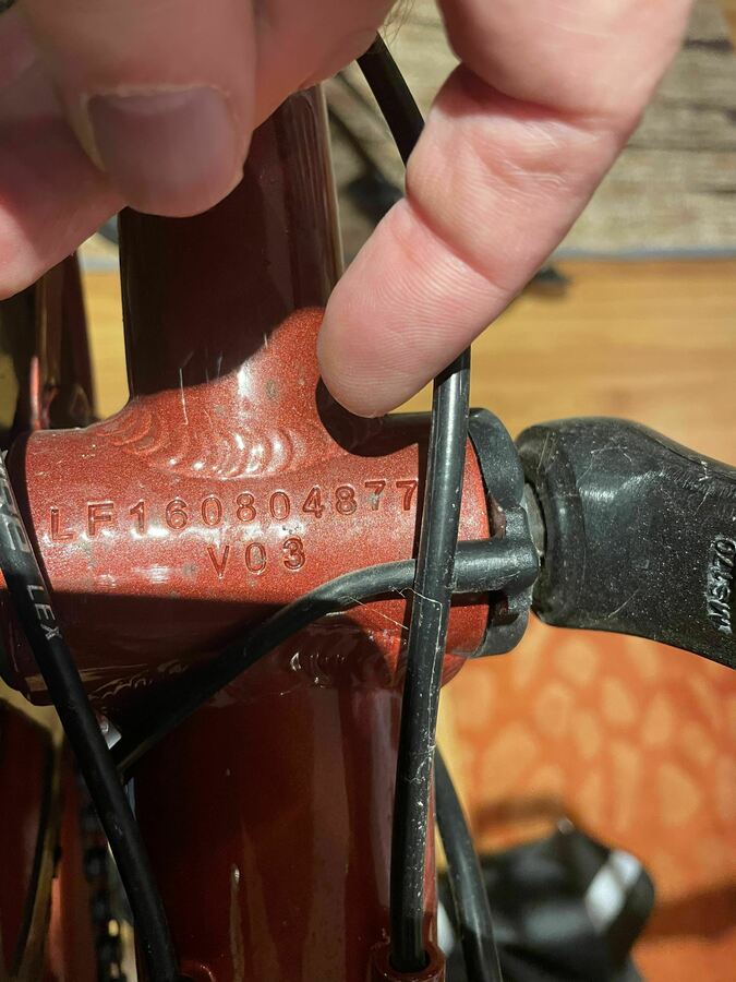 Pedego Interceptor