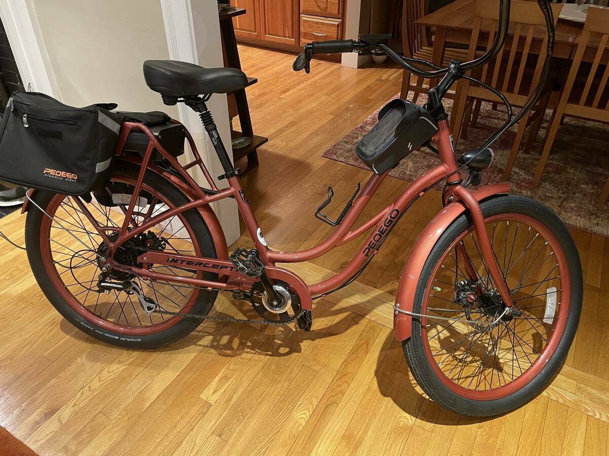Pedego Interceptor