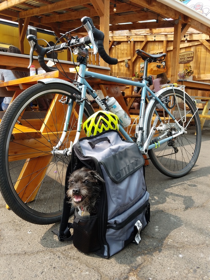 2013 All City Space Horse