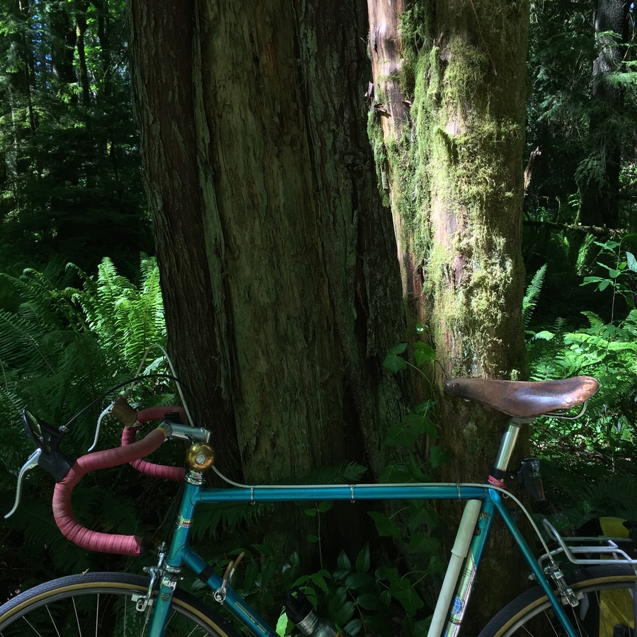 1970 Gitane Professional Super Corsa