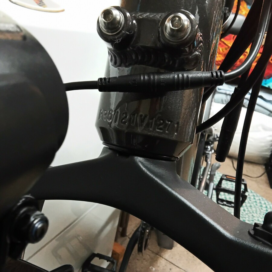 2021 Rad Power Bikes RadPowerPlus6