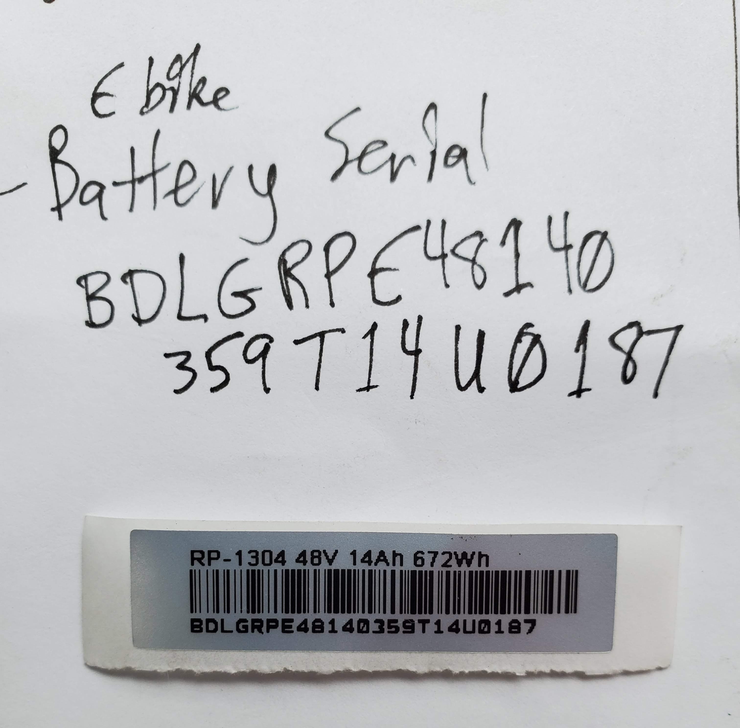 Stolen 2021 Rad Power Bikes Rad Wagon 4