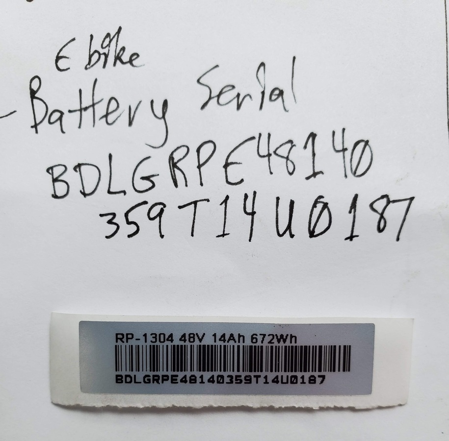 Stolen 2021 Rad Power Bikes Rad Wagon 4