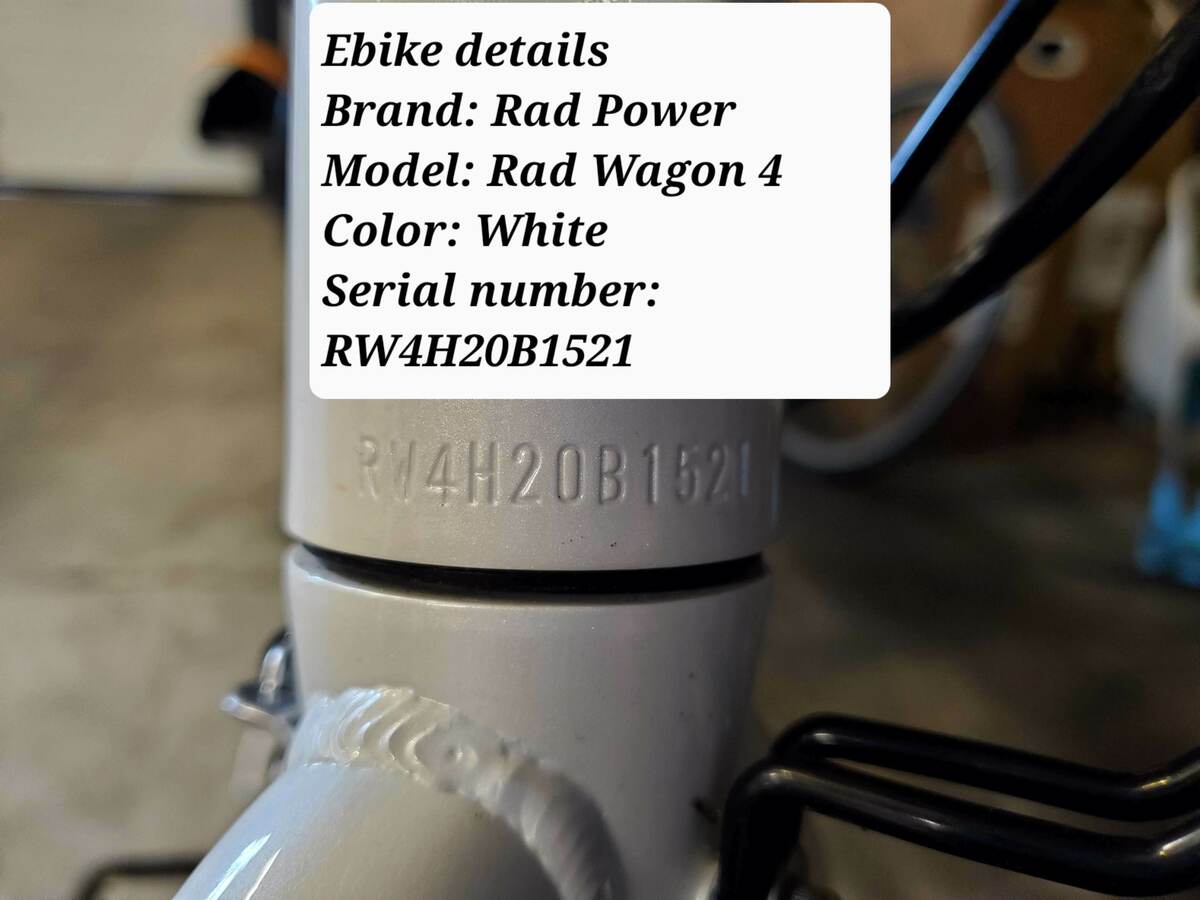 Stolen 2021 Rad Power Bikes Rad Wagon 4