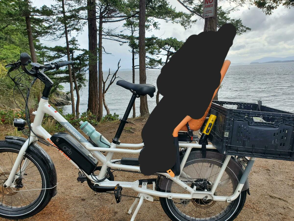 Stolen 2021 Rad Power Bikes Rad Wagon 4