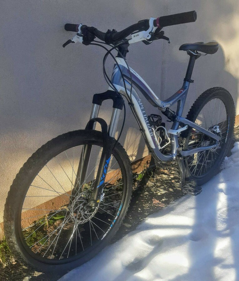 2009 Specialized Myka HT Comp