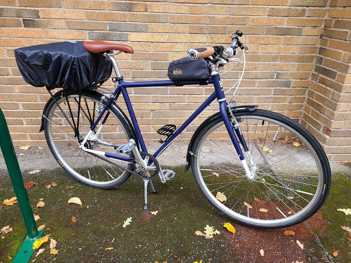 Brilliant Bicycle L Train