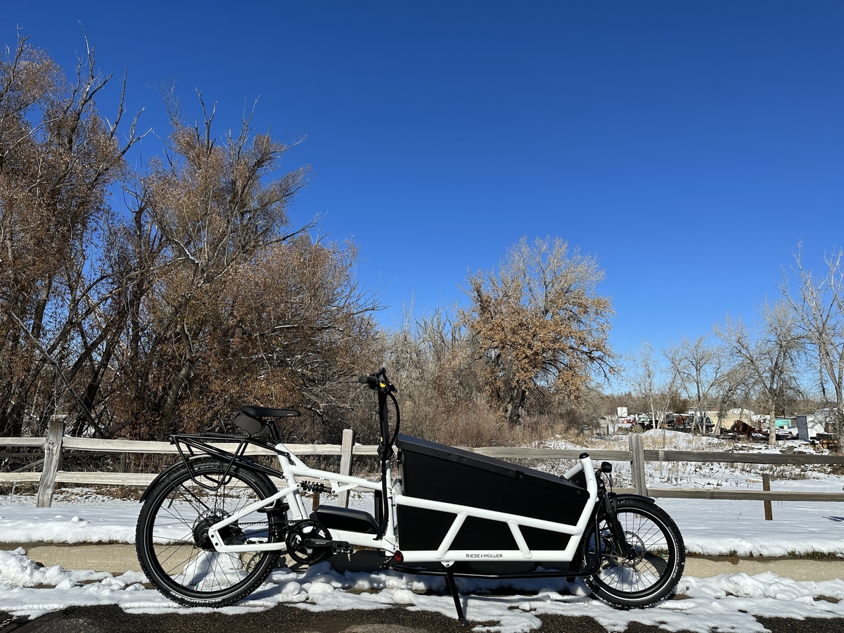 2022 Riese und Müller Load 75