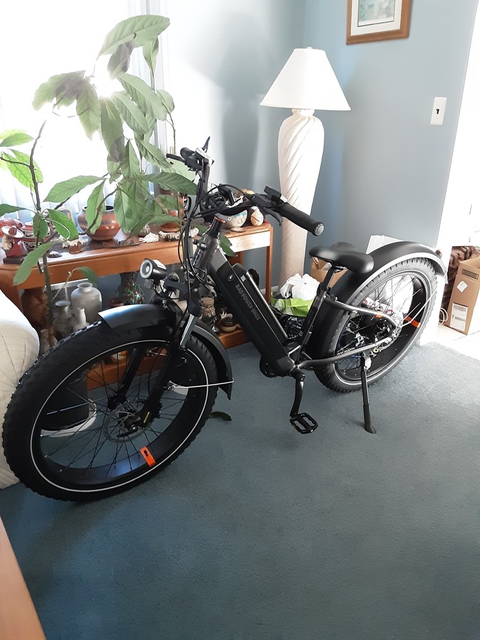 2022 Rad Power Bikes Radrover 6 Plus Step Thru