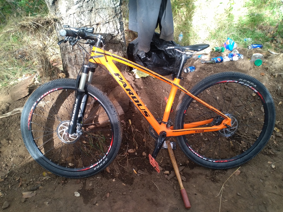 2022 Pardus 650b all carbon