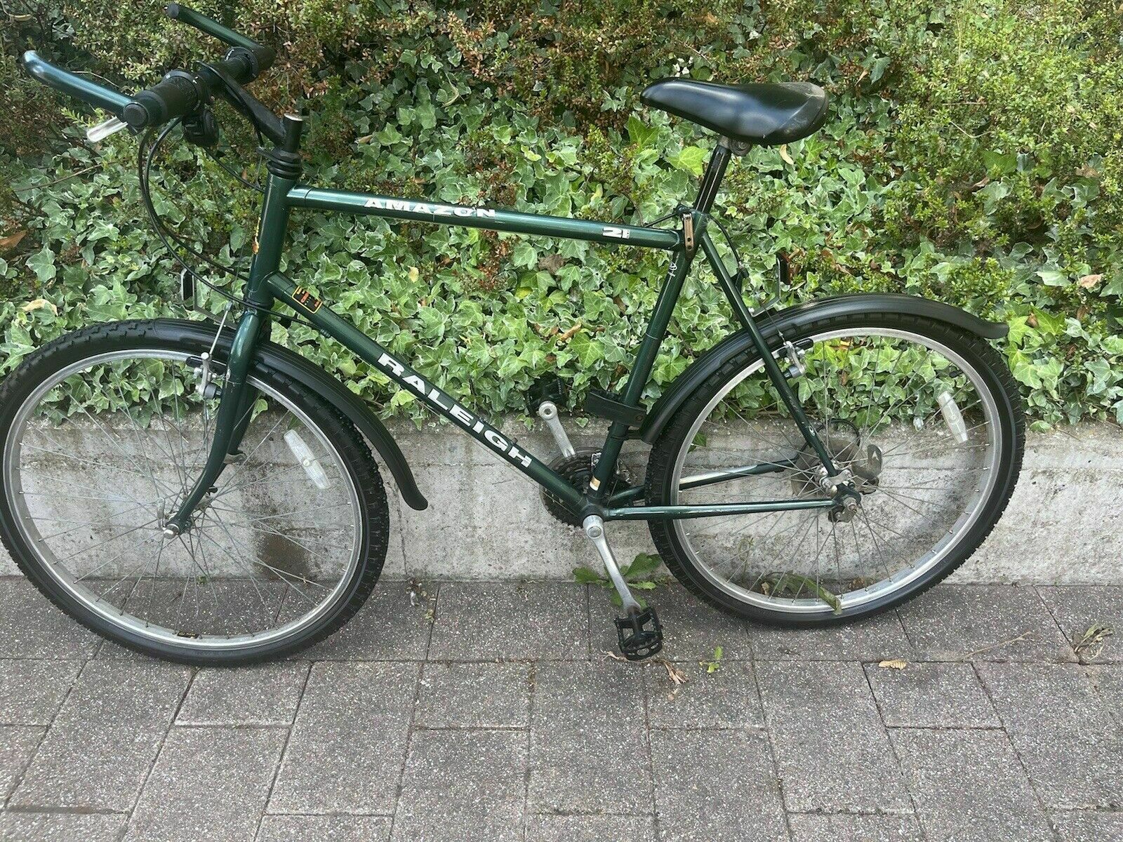 Stolen 1998 Raleigh Amazon