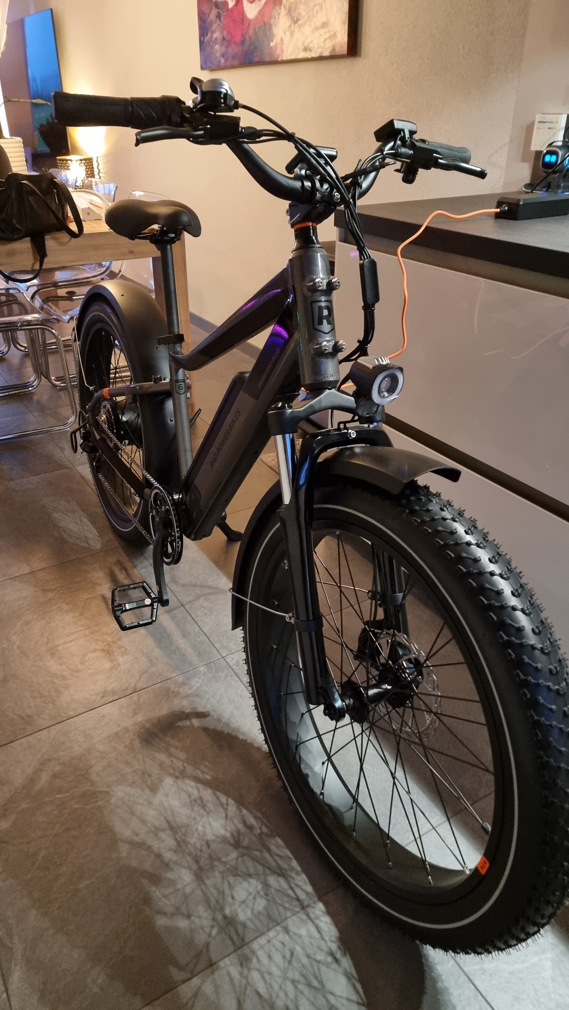 2022 Rad Power Bikes RadRover 6 Plus