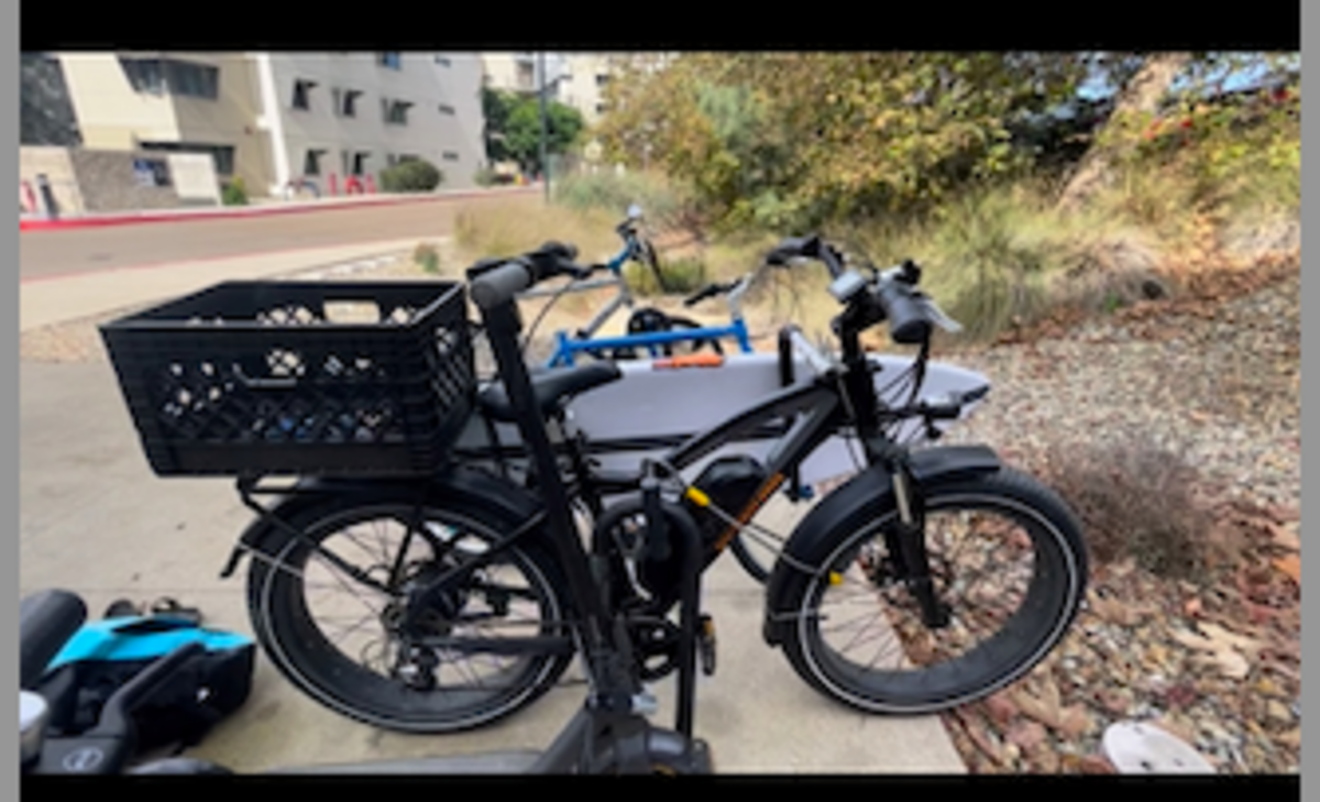 Stolen Rad Power Bikes RadRover