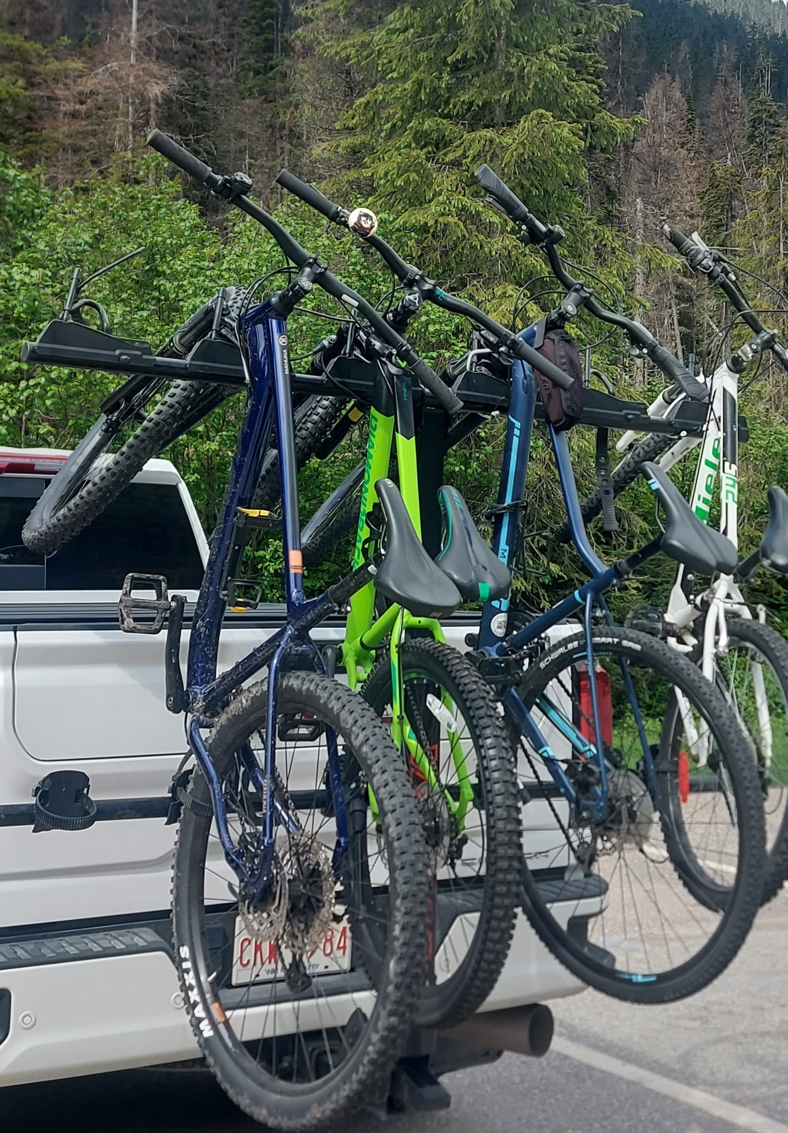 2022 Diamondback Pines