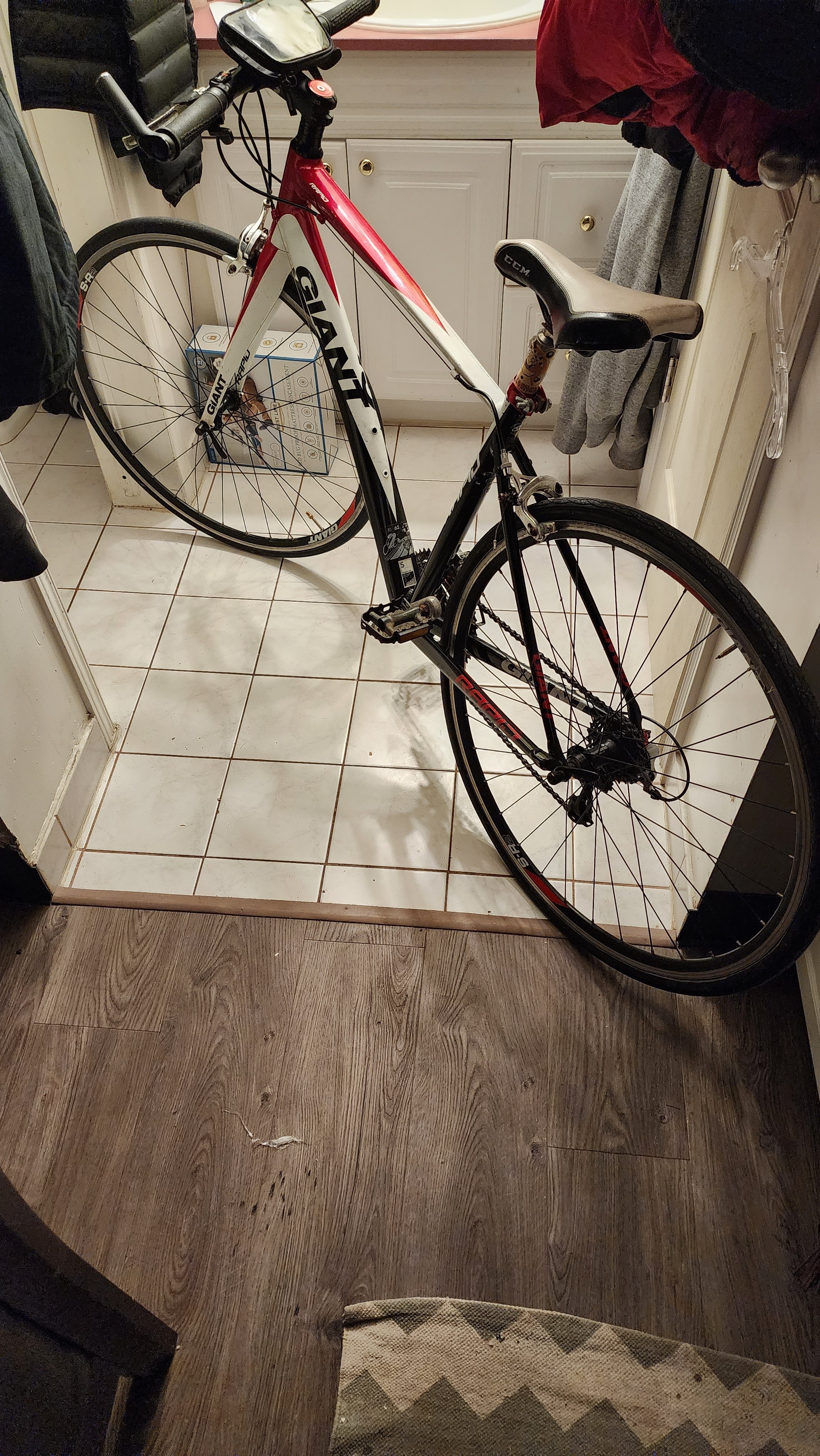 Stolen 2022 Giant Rapid 2