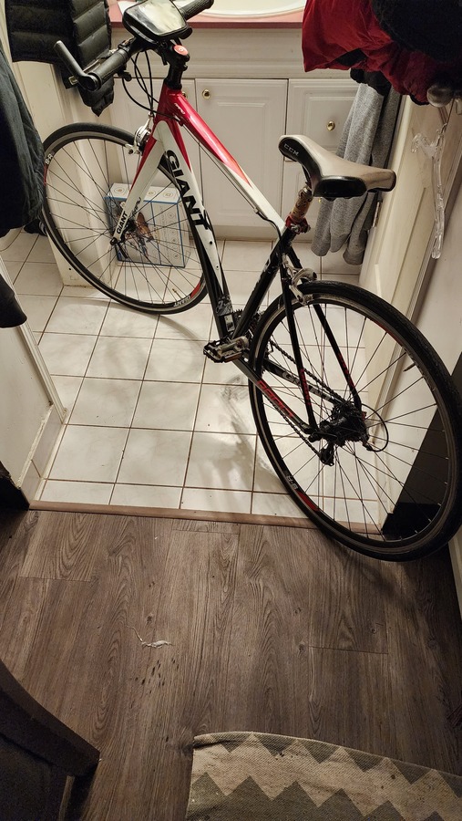 Stolen 2022 Giant Rapid 2