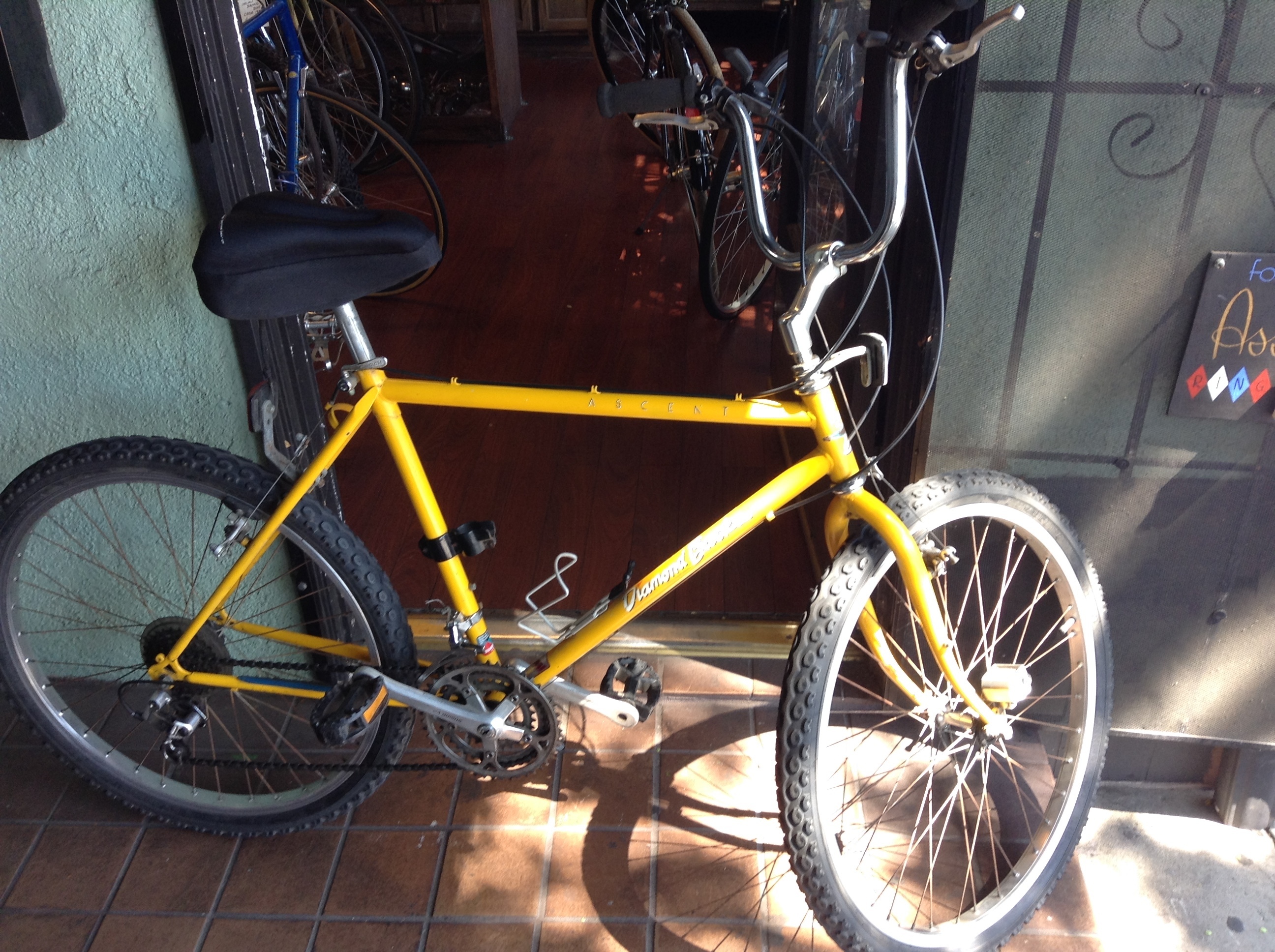 1990 Diamondback Ascent