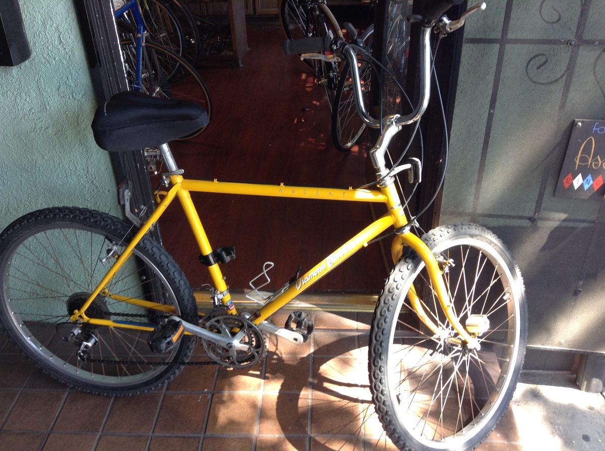 1990 Diamondback Ascent