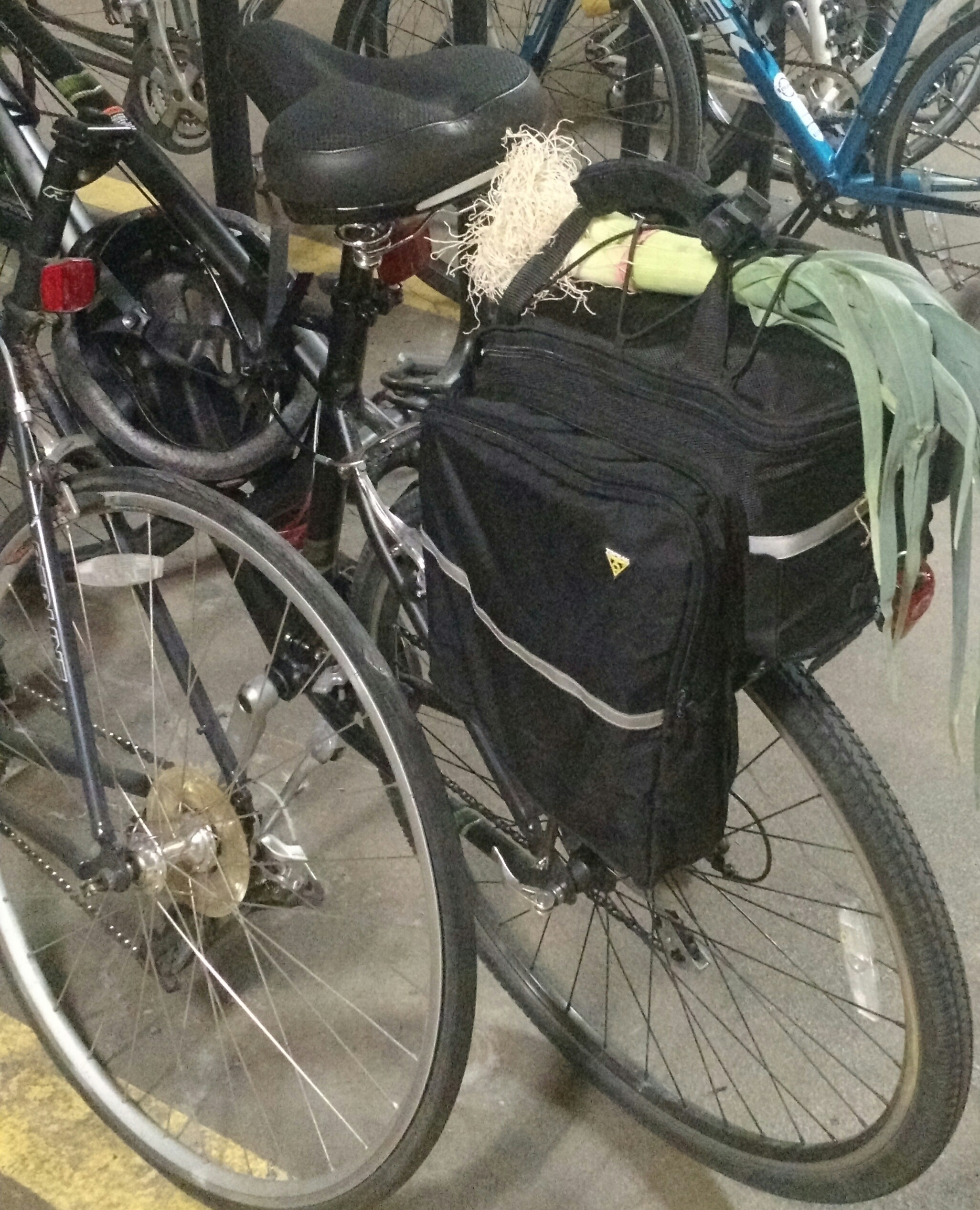 Stolen 2015 Raleigh Route