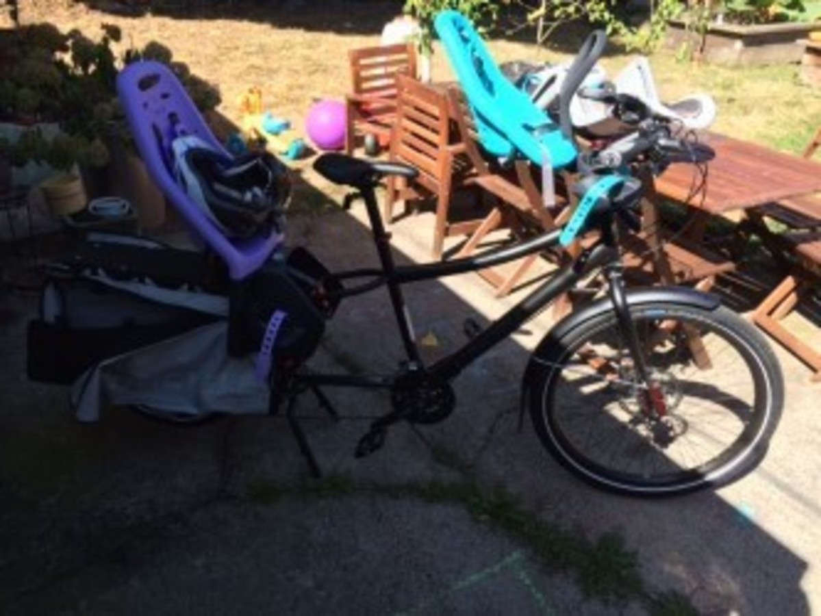 2016 Xtracycle EdgeRunner Cargo
