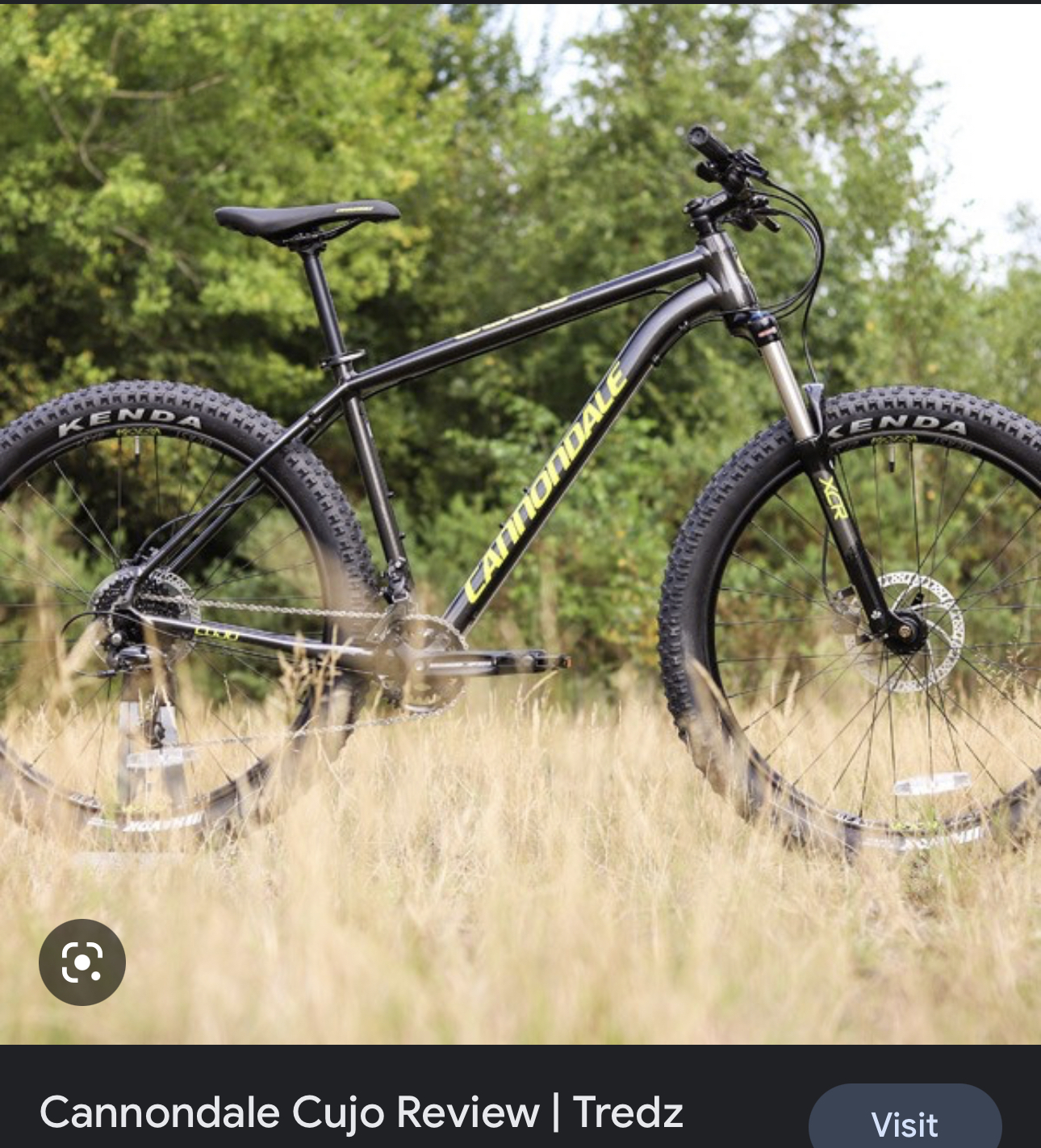 Stolen 2017 Cannondale Cujo