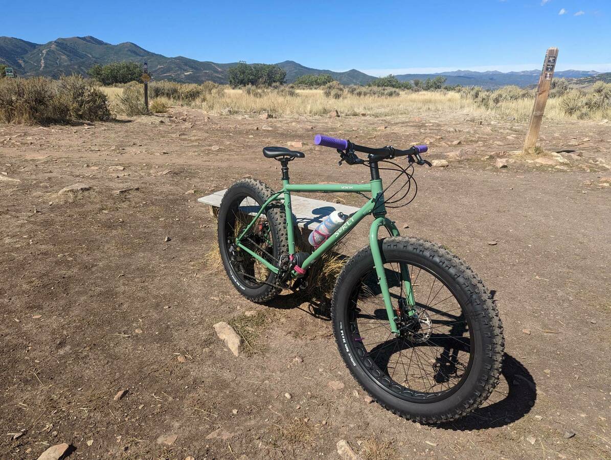 2022 Surly Wednesday