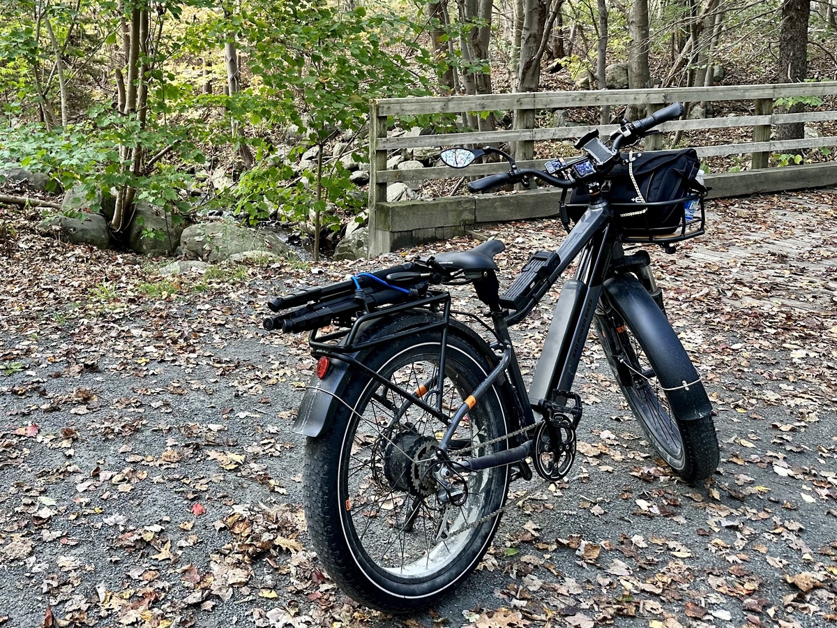 2022 Rad Power Bikes RadRover 6 Plus