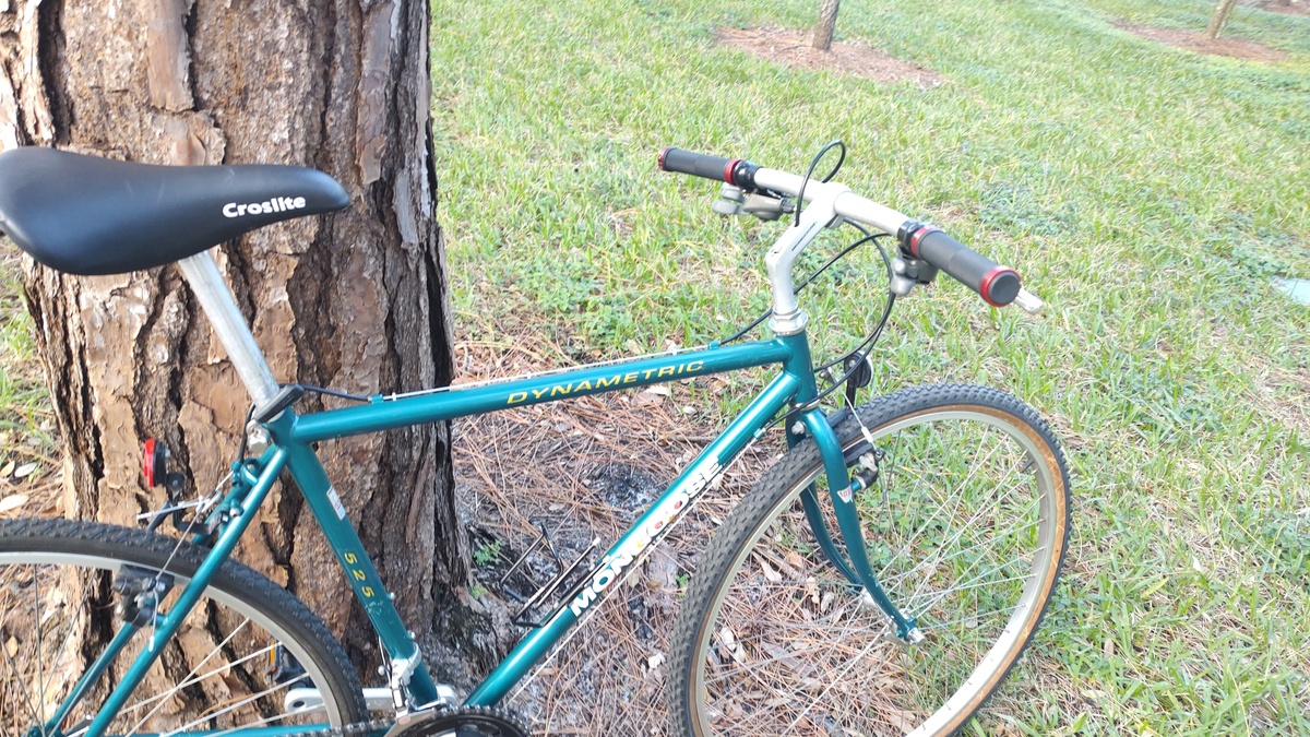 1990 Mongoose Dynametric