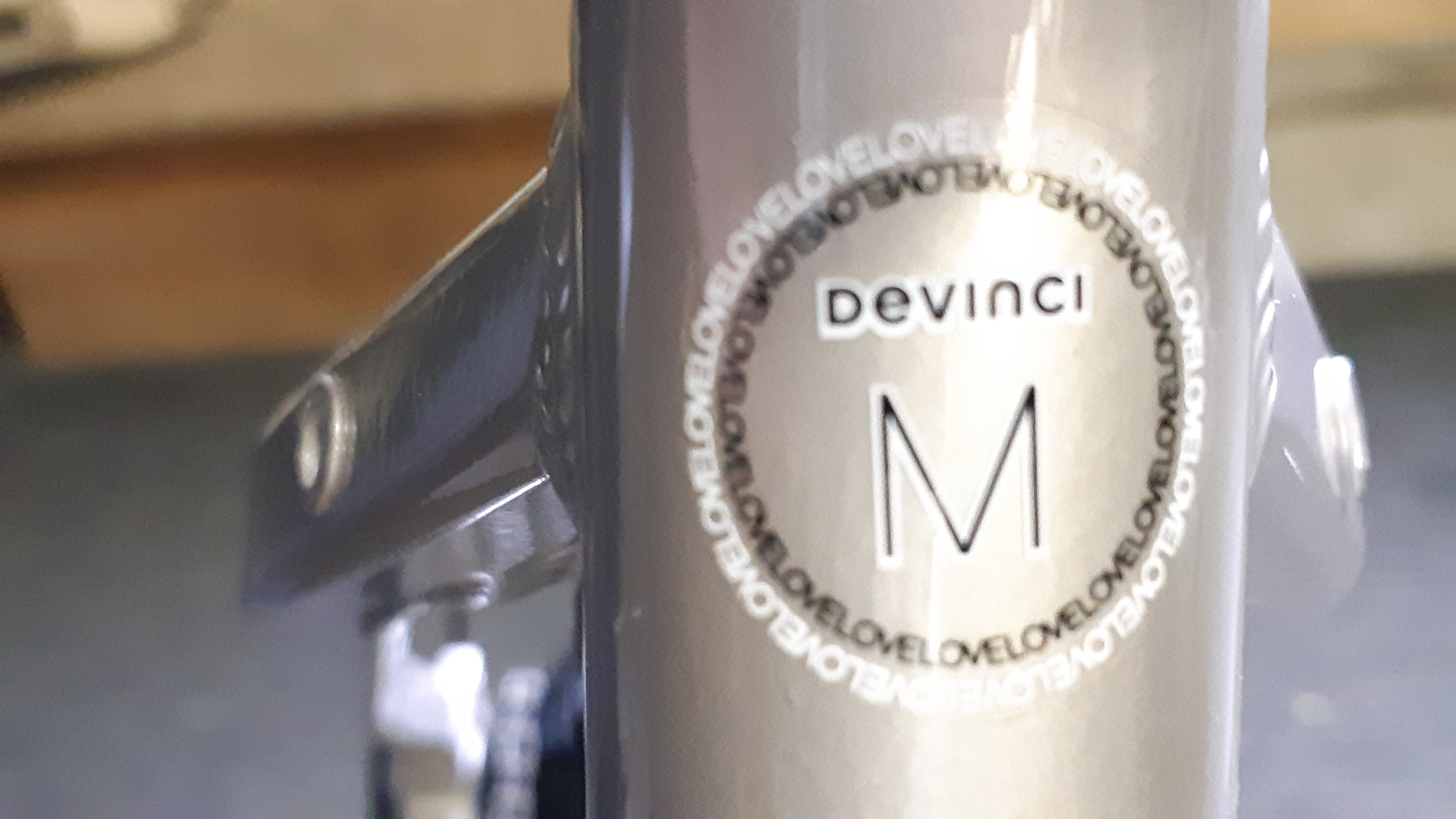 2022 Devinci E-Milano E5000 8S Silver Medium