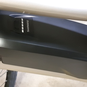 2022 Devinci E-Milano E5000 8S Silver Medium