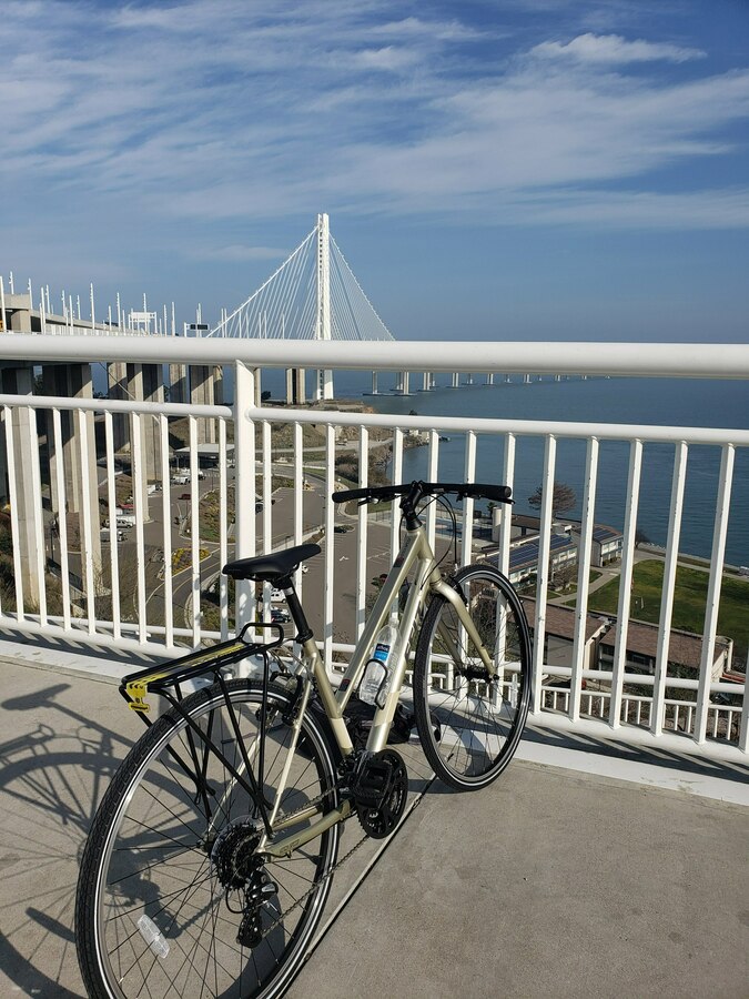 2022 Felt Verza Speed 50 Mid step