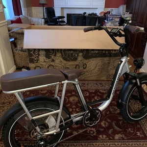 2022 Rad Power Bikes Rad Runner Plus