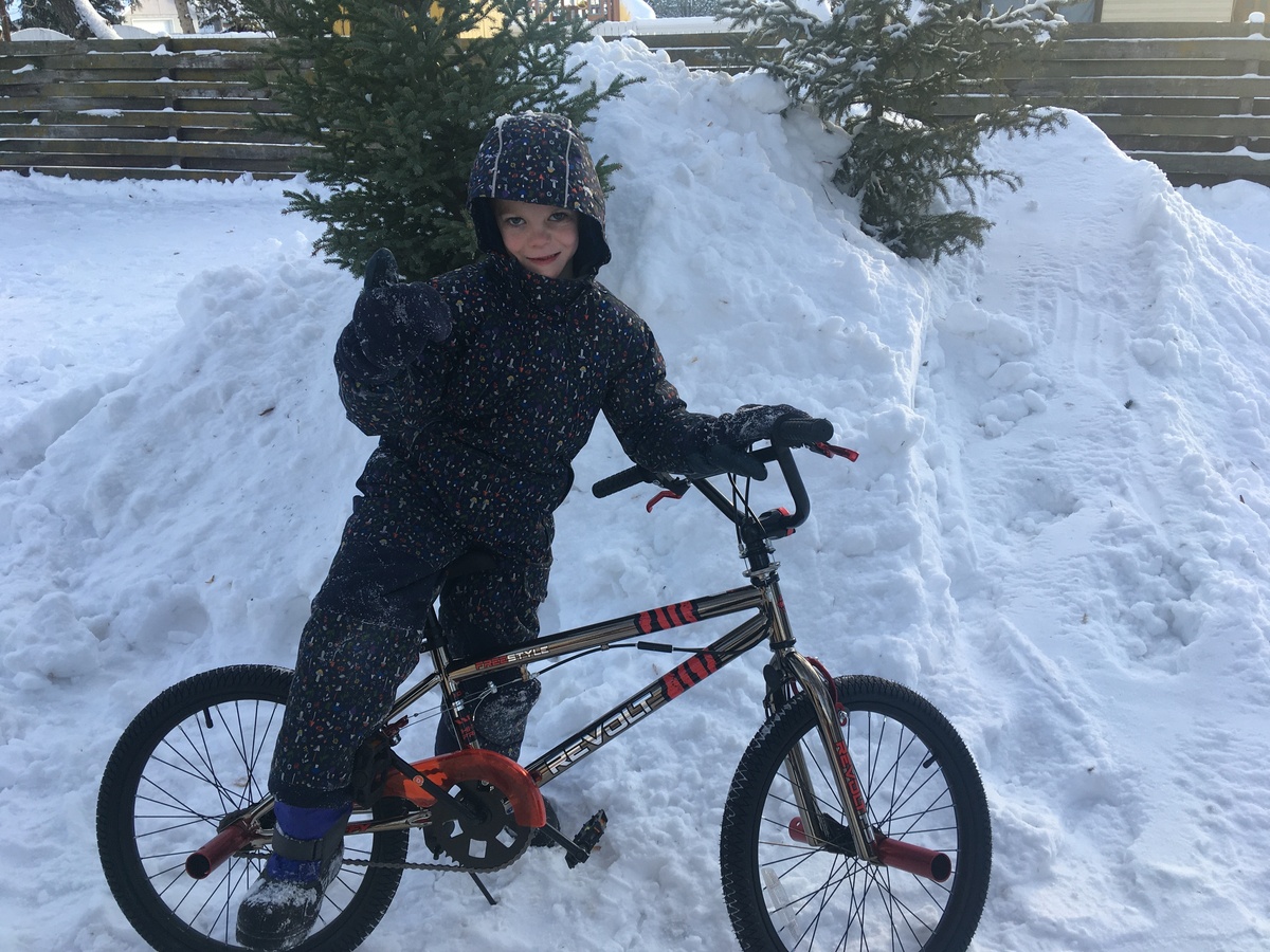 2022 Huffy Revolt BMX