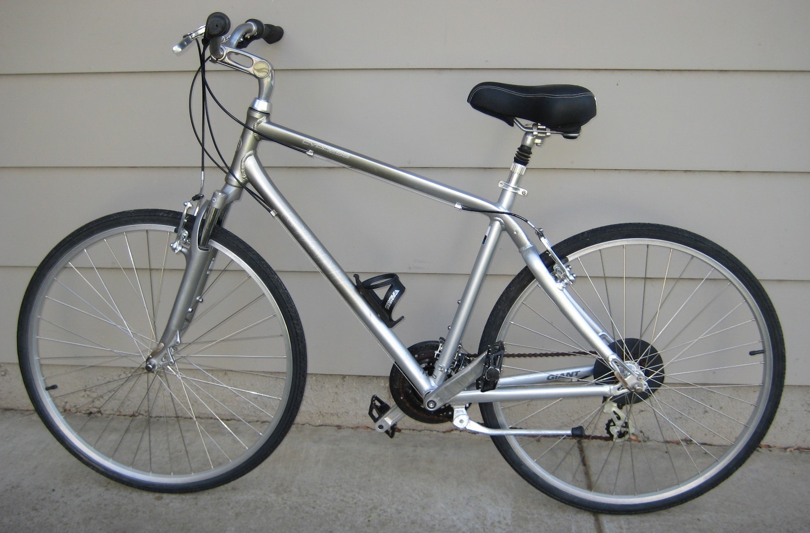 2010 Giant Cypress DX W (Silver/Turqouise)
