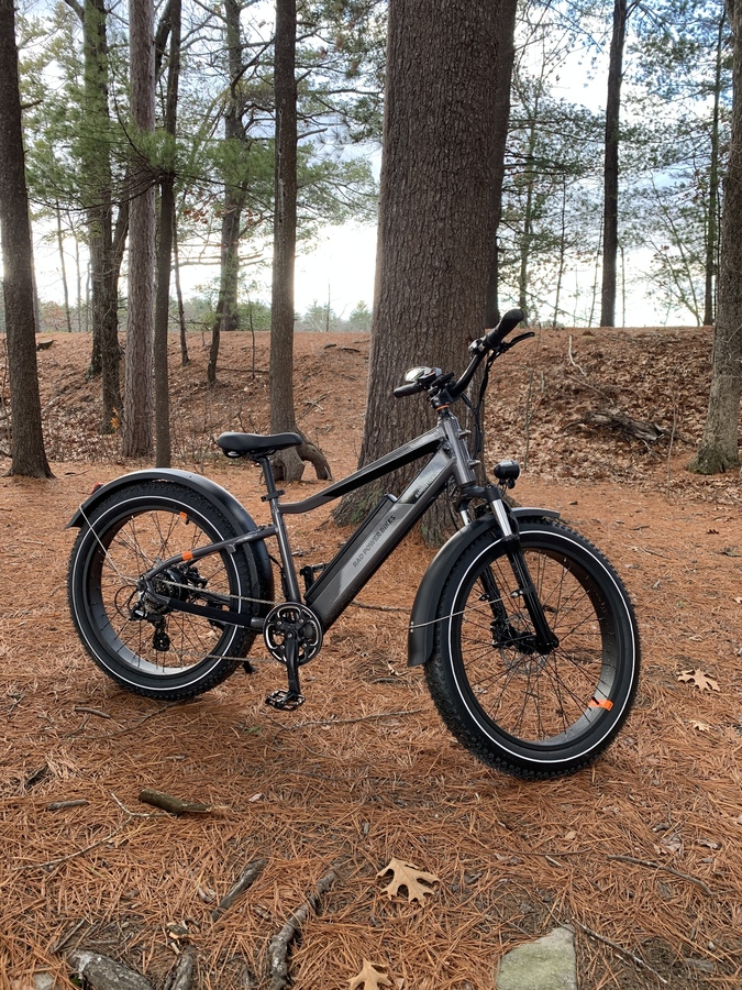 2022 Rad Power Bikes Rad Rover plus