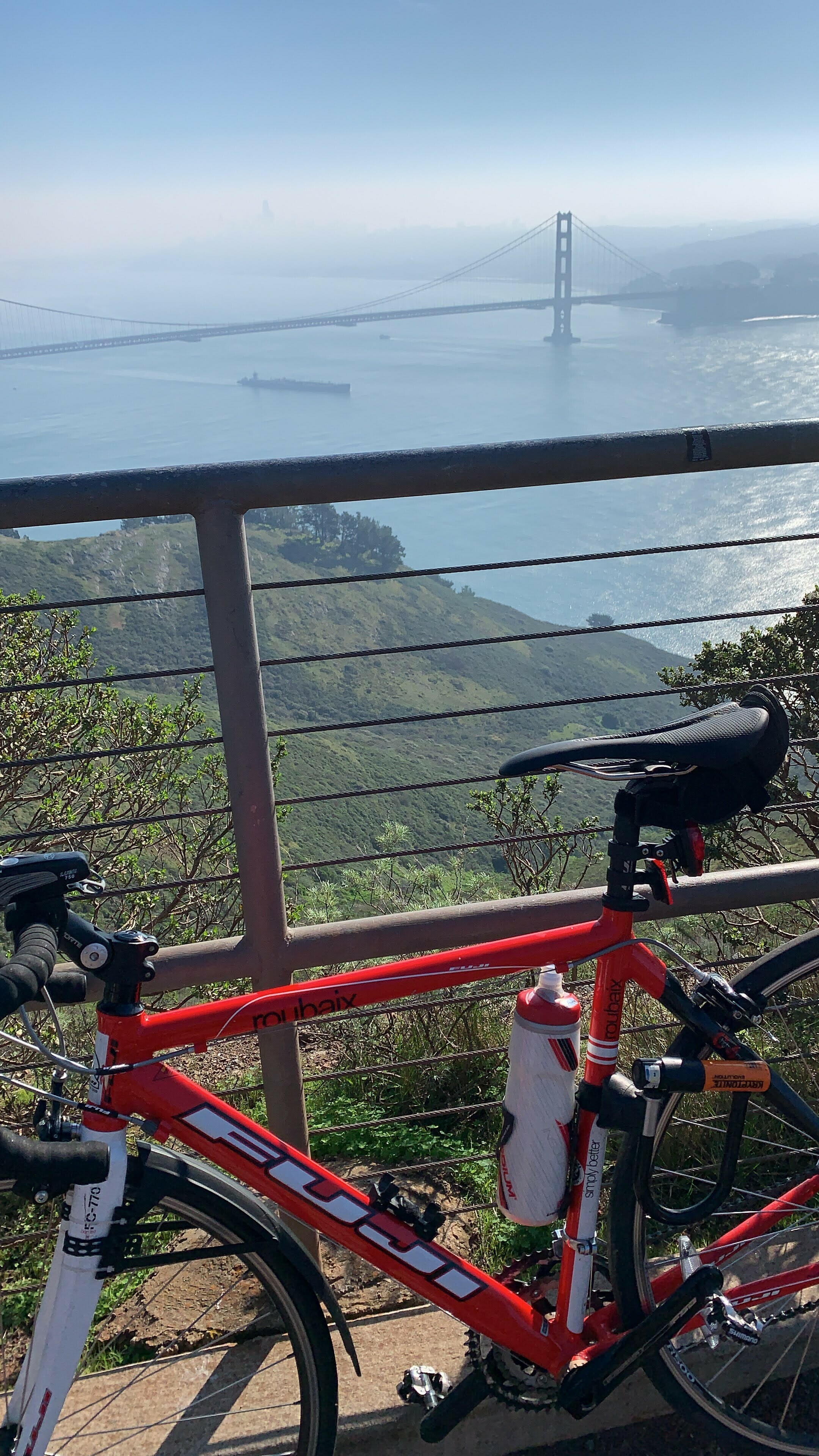 2010 Fuji Newest 2.0