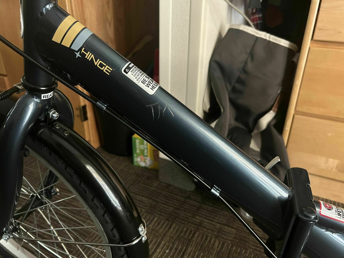 Schwinn Hinge Steel Frame 1 Speed