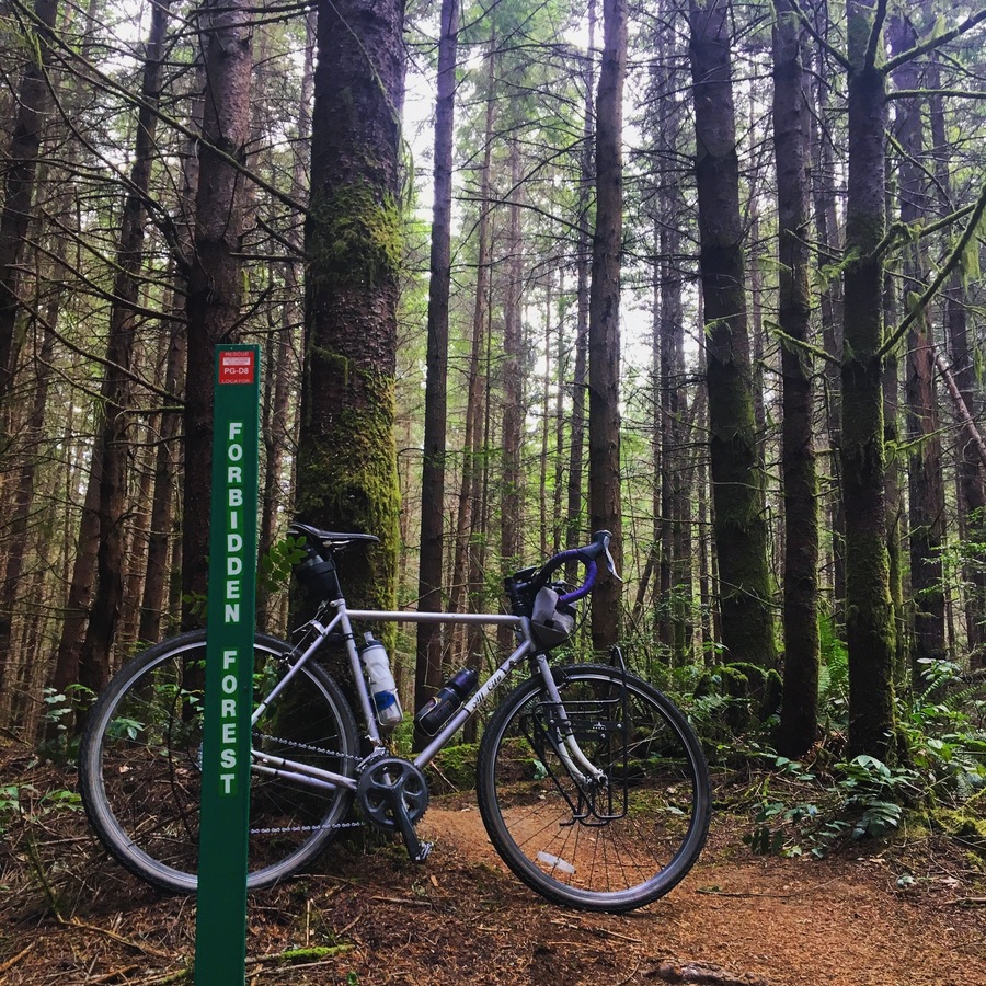 2016 All City Space Horse